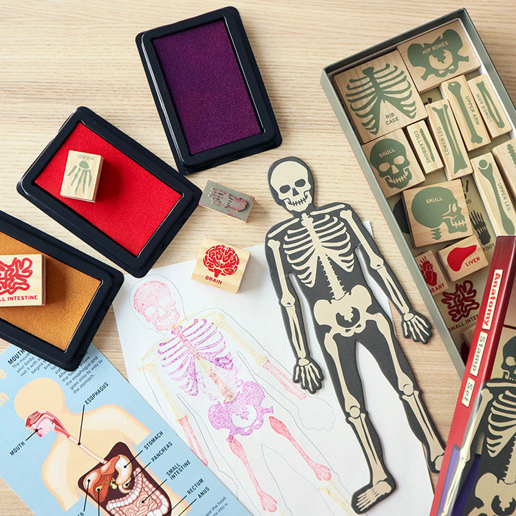 Science Toys, STEM Gifts & Educational Products | Spark Science Store ...